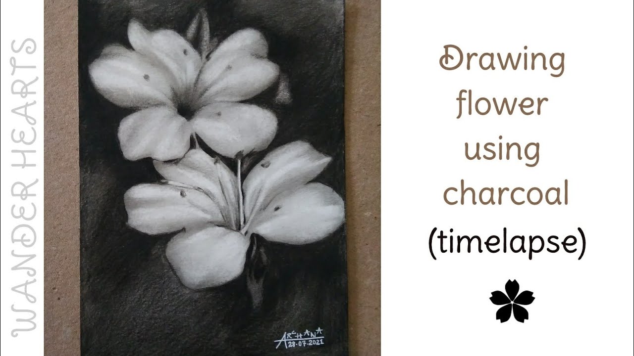 Drawing flower using charcoal | Tutorial | Timelapse - YouTube