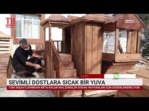 SEVİMLİ DOSTLARA SICAK BİR YUVA
