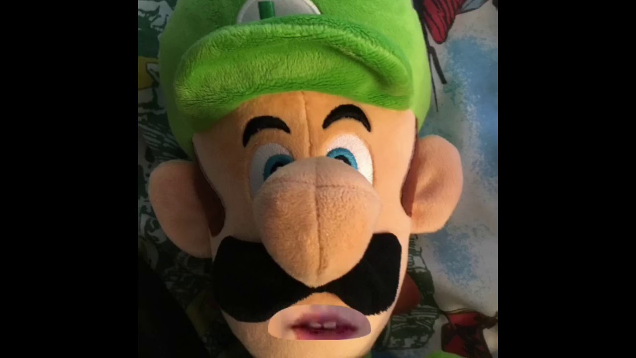 That Mario Guy TMG - YouTube