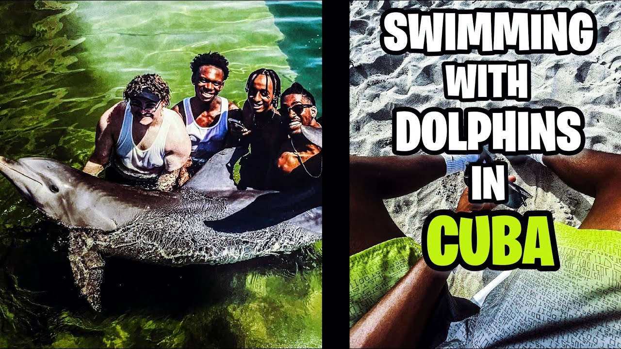 SWIMMING WITH DOLPHINS IN CUBA! 🐬 - YouTube