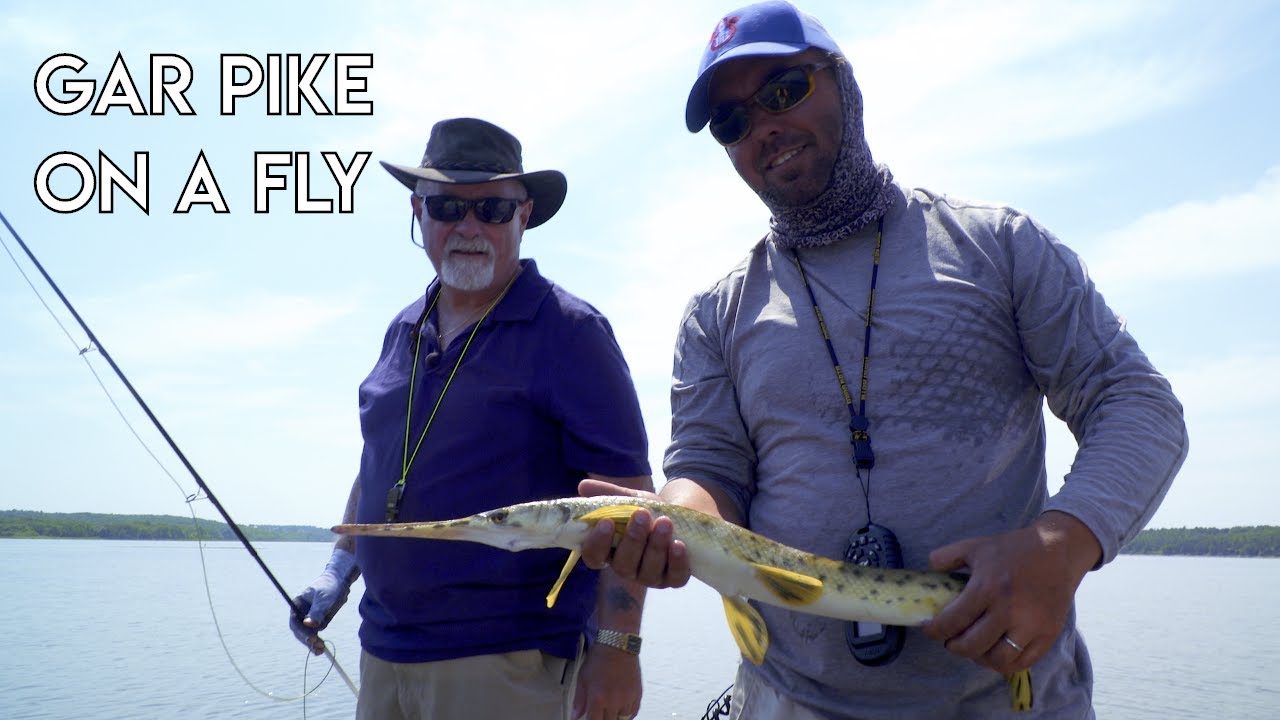 Fly choices for Gar Pike - YouTube