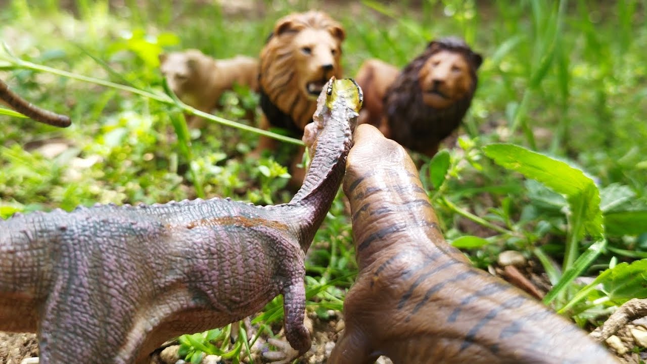 Life Of The Dinogorgon 12: Fighting A Pride - YouTube