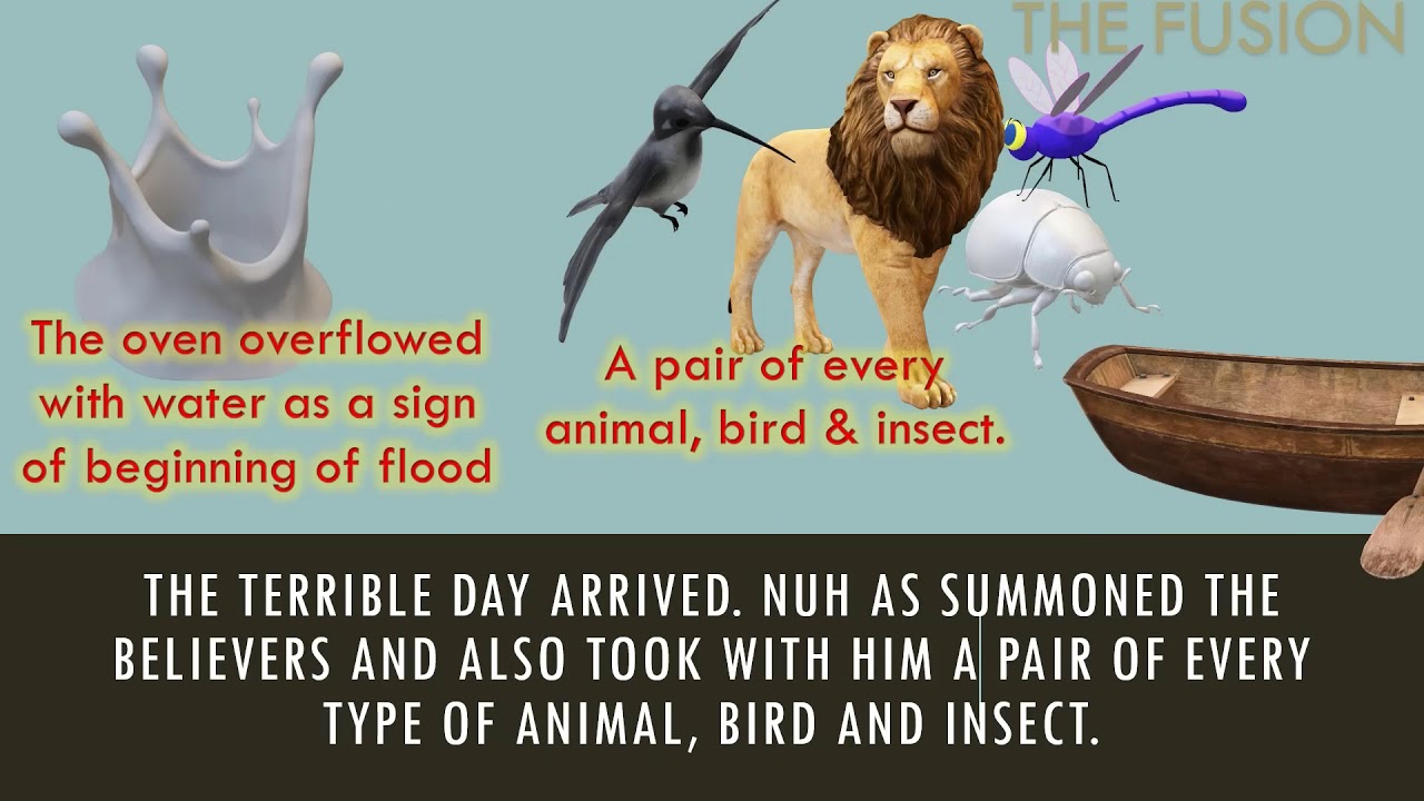 NUH(AS) PROPHET NOAH - Ark of Nuh/Noah(AS) | Stories of Prophets - Ep5 ...