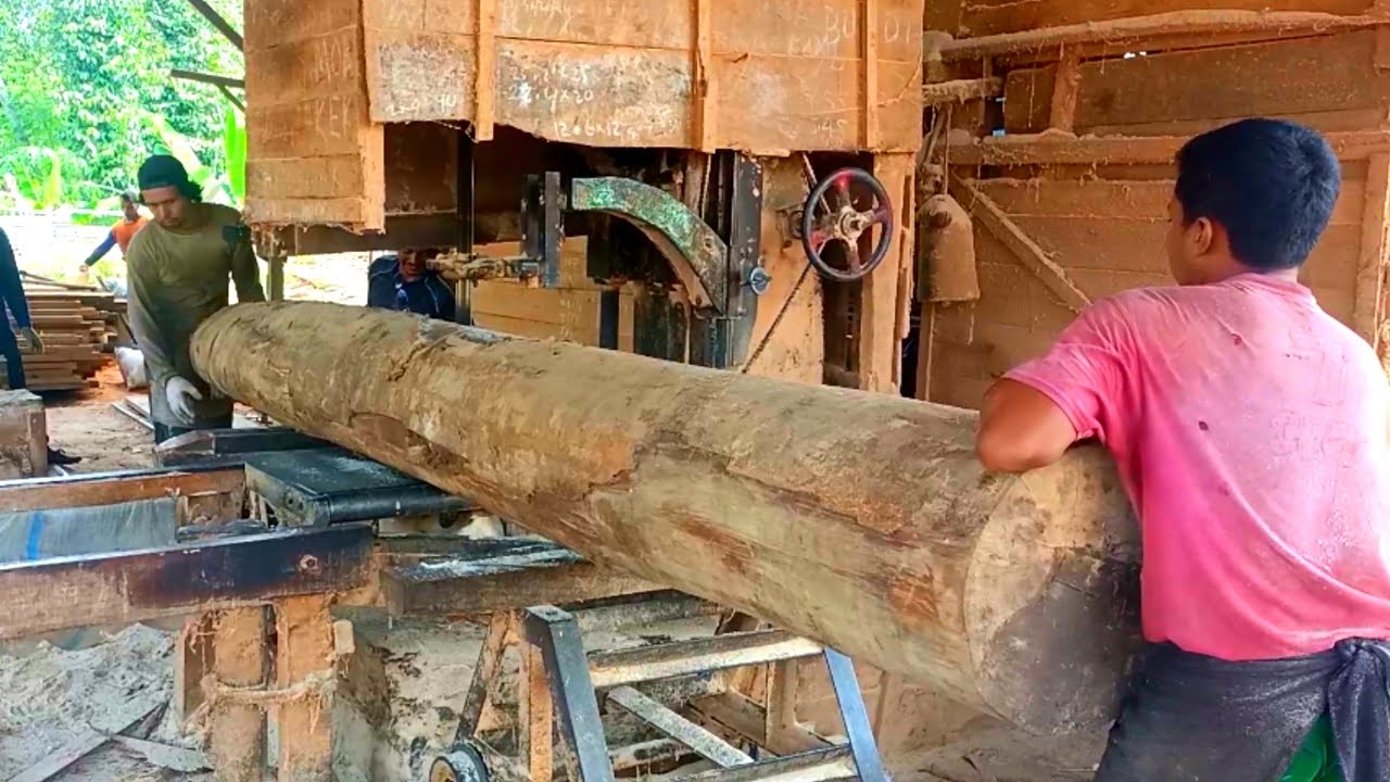 Courage required when sawing large logs, operator is highly experienced ...