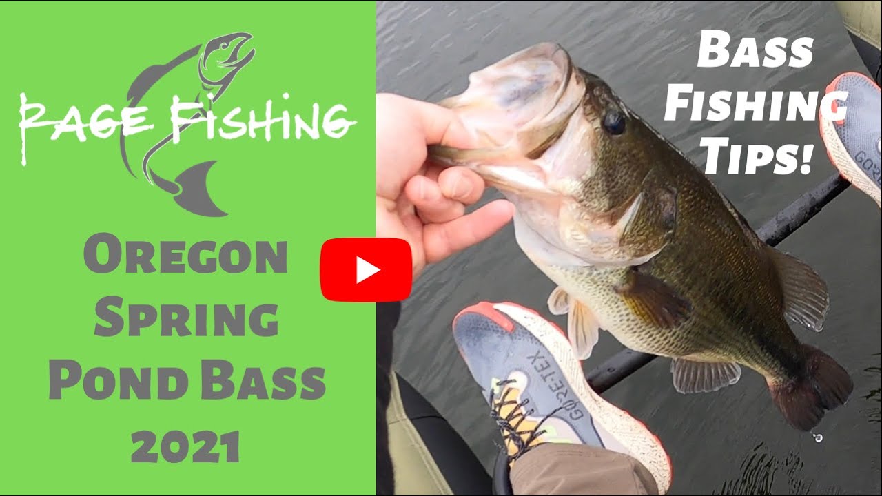 OREGON SPRING BASS 2021 - 4K - Pontoon Pond Fishing for Largemouth Bass ...