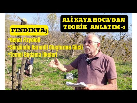 ALİ KAYA Hoca'ya Ziyaret.. Fındıkta Genel Fizyoloji ve Budama İlkeleri TEORİK Anlatım -1