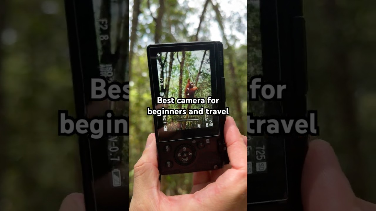 Ricoh GR IIIx HDF Sample Photos – Stunning Image Quality in a Compact Camera!