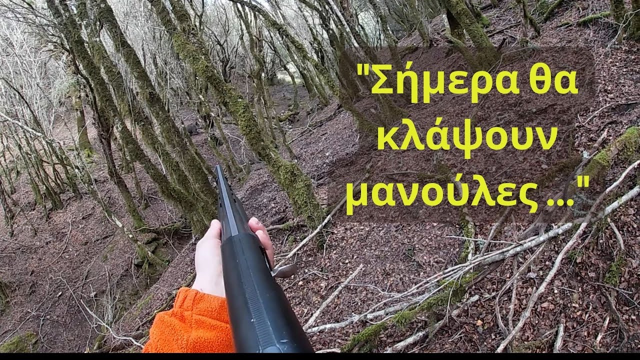 Κυνήγι Αγριόχοιρου στη Λάβδανη - YouTube