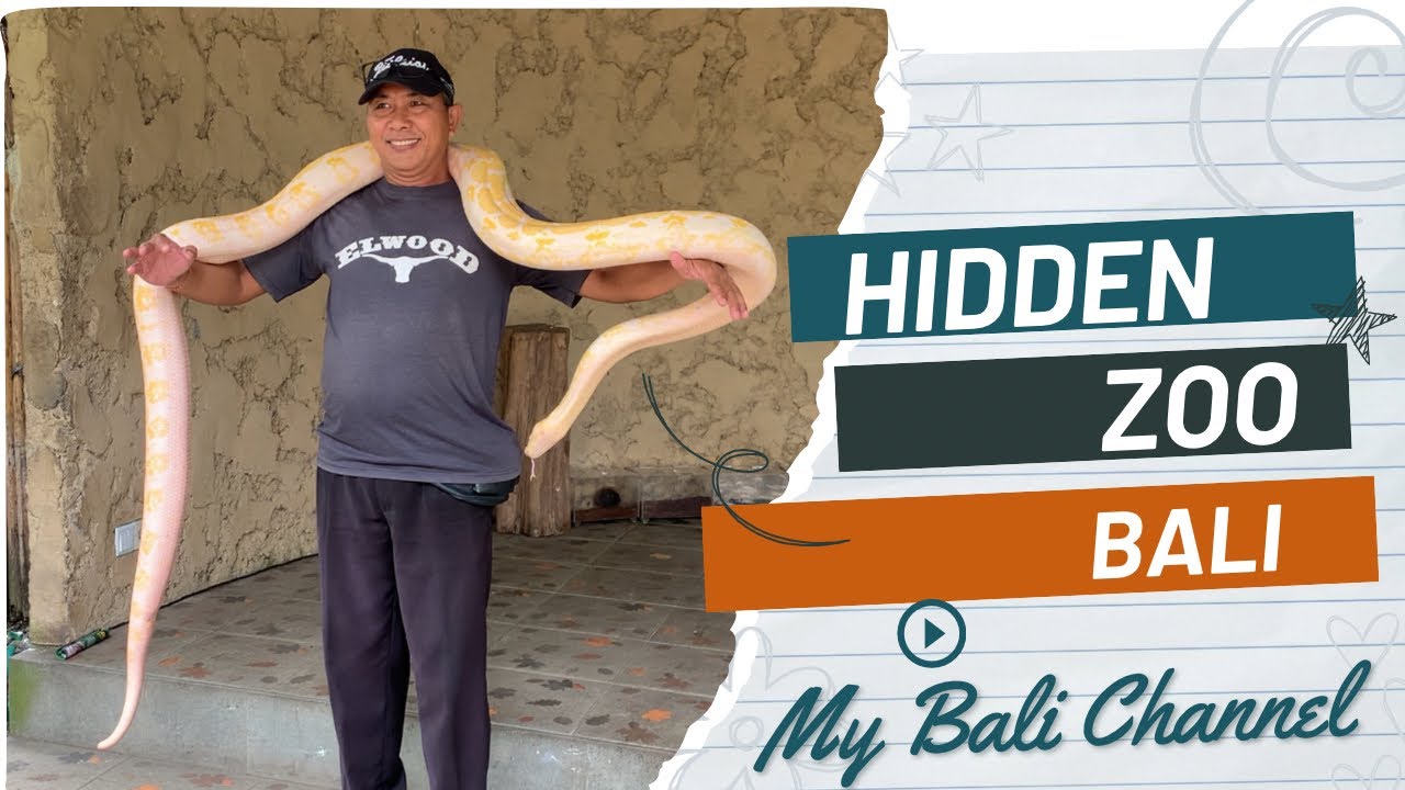 Mini Hidden Zoo Bali - YouTube