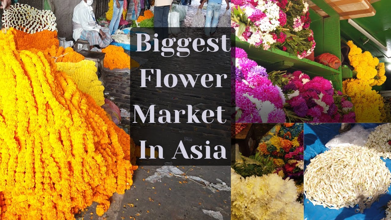 Biggest Flower Market In Asia || Howrah Fulghat || Flower Wholwsale ...