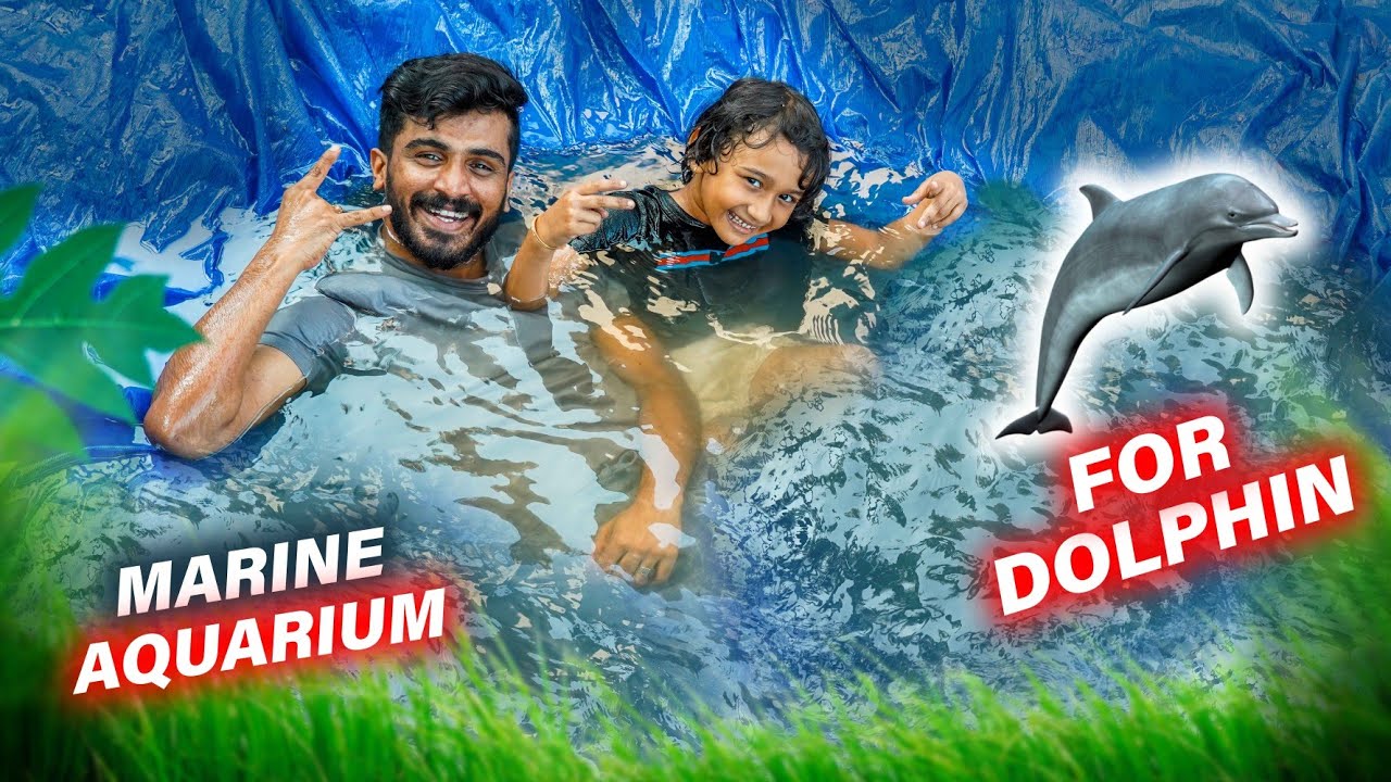 ഇന്ത്യയിൽ ആദ്യമായി DOLPHIN വീട്ടിൽ 😍🐬 Marine Pond - YouTube