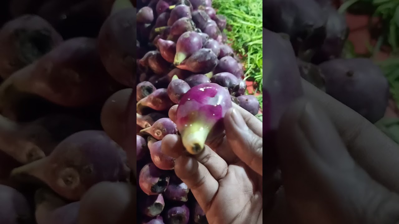 Anar phali Sialkoti Gate - YouTube