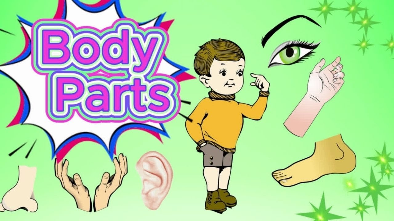 Parts Of Body In English Body Parts For Kids In English English parts-of-body-in-english-body-parts-for-kids-in-english-english