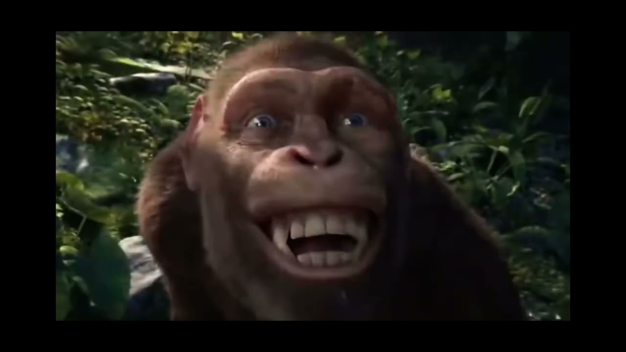 @AzeriKong family reunion - YouTube