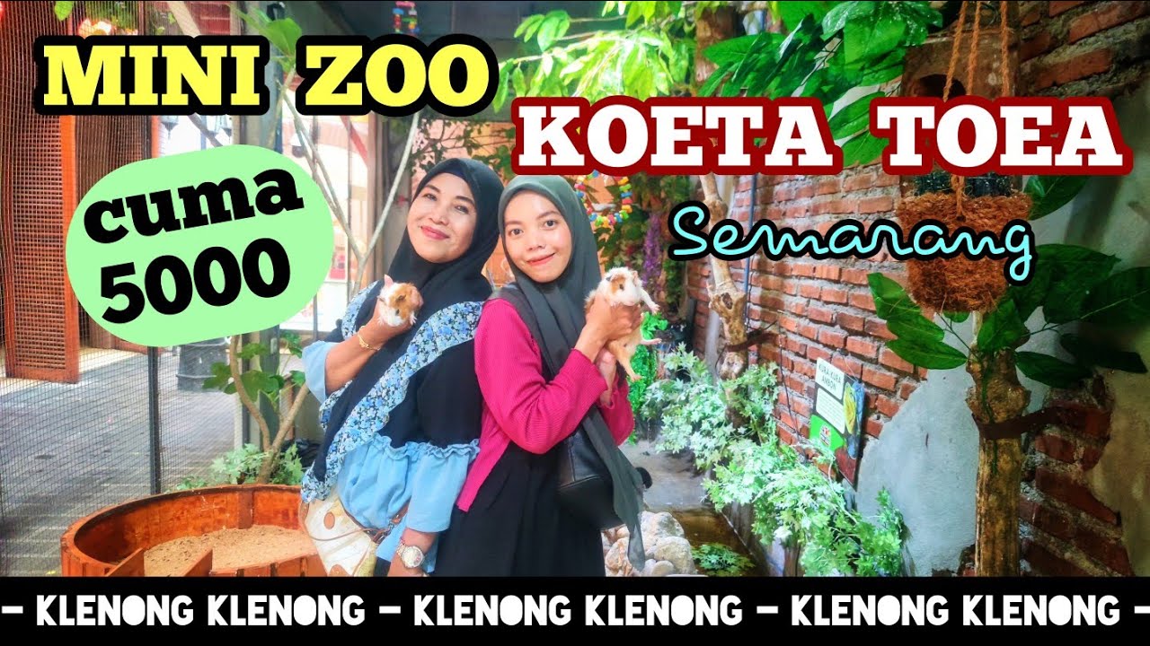 KOETA TOEA SEMARANG ,sekarang ada MINI ZOO nya lho ...tiket murmer cm ...