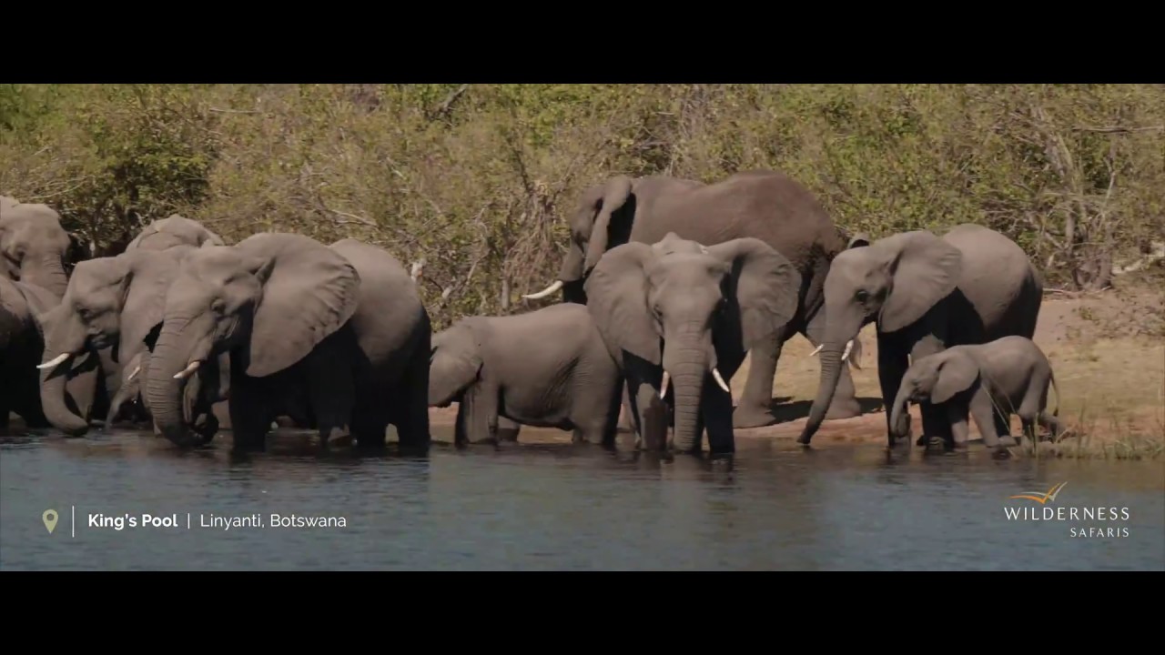 Explore Botswana | An African Safari Gem - YouTube