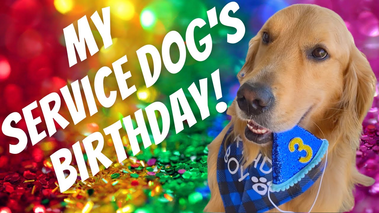 Celebrating my Service Dog's Birthday with A Severe Migraine - YouTube
