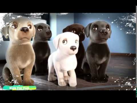 A dog's story "Pip" The Courageous Dog - YouTube