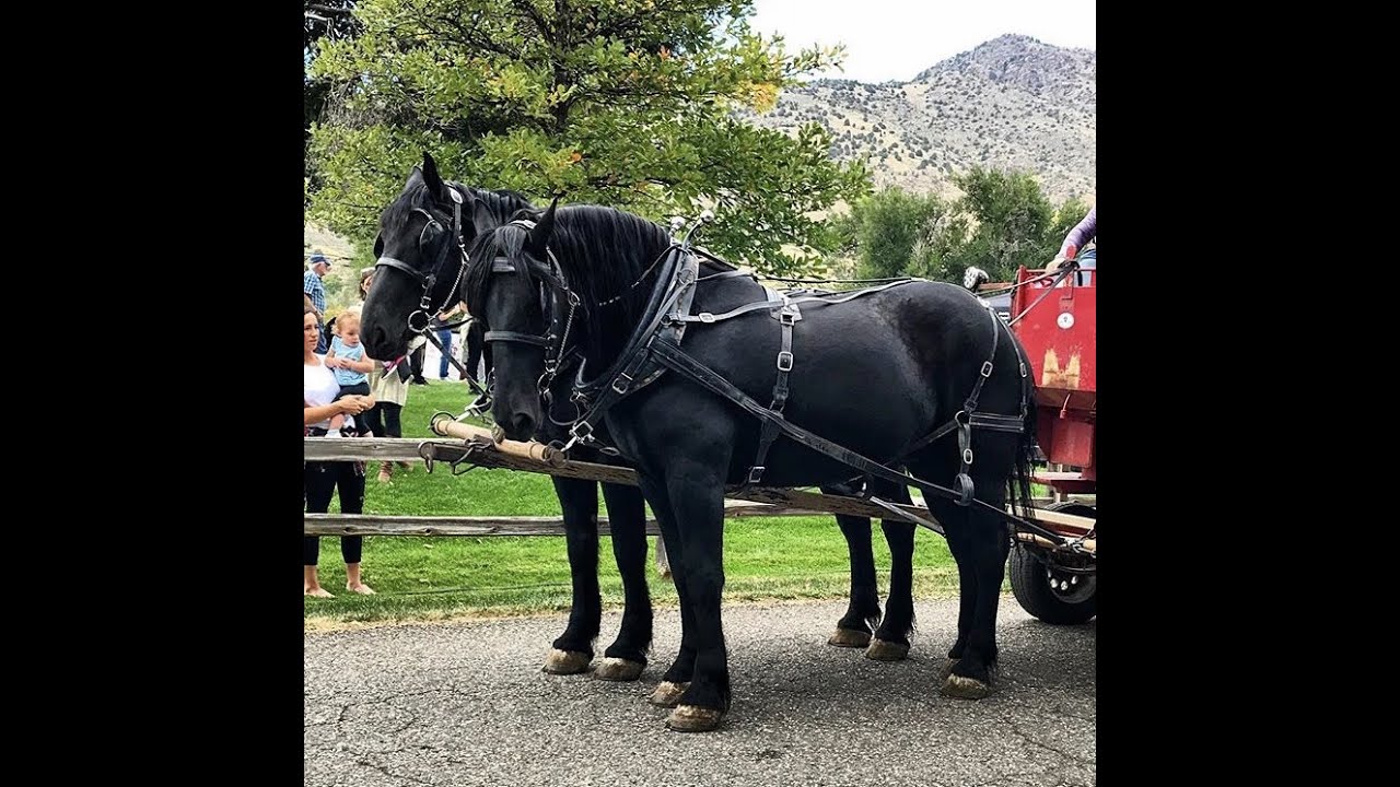 Red Rocks & Morrison Ciderfest (2018) - YouTube