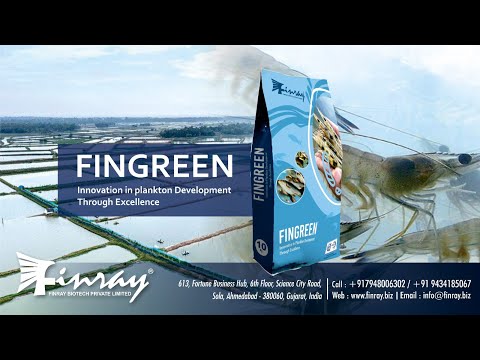 Elevate Plankton Growth with Fingreen: A Breakthrough in Aquatic Innovation!