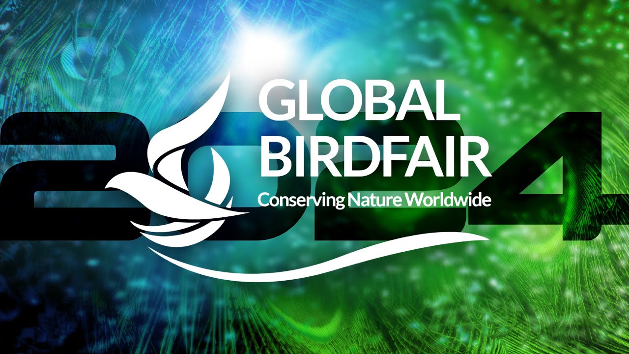 Global Bird Fair 2024 - The biggest bird & wildlife show just got BIGGER! - YouTube