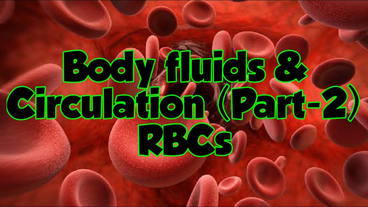 RBCs,Circulatory system(Part-2)|Biology|Tips&Tricks|NEET|AIIMS|NEET ...