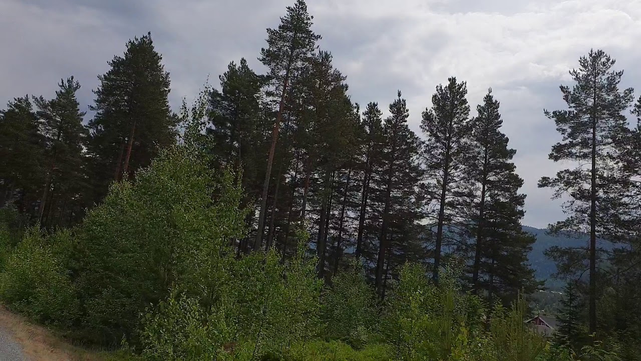 Elvemo runde(elvemo til Heimoen - YouTube