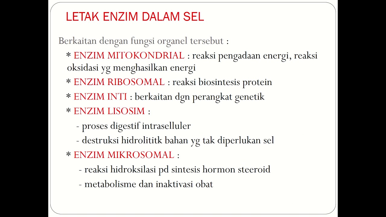 BLOK 7 - ENZIM - Drs. Sadakata Sinulingga, Apt - YouTube