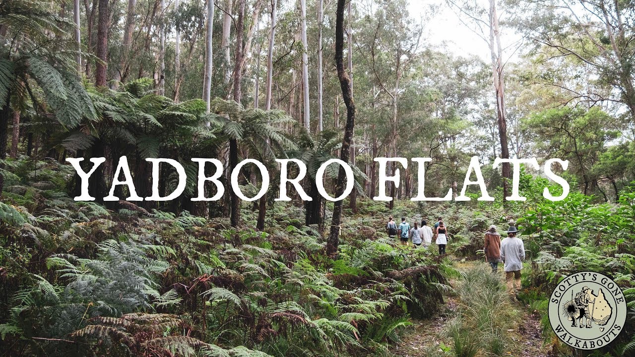 Yadboro Flats- Winter Weekend Getaway - YouTube