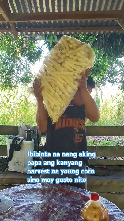 Buhay magsasaka at proud magsasaka #ctto #farming #nature #agriculture #deliver #vegetables # ...