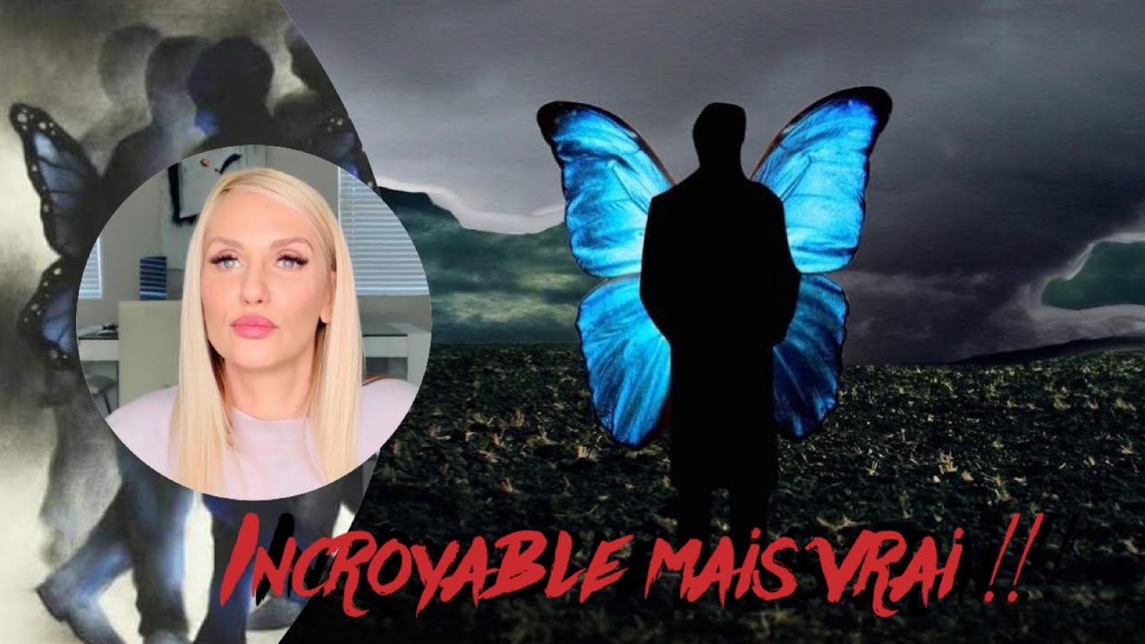 LE MYSTERIEUX PEUPLE PAPILLON DU MISSOURI [#histoirevraie #faitdivers ...