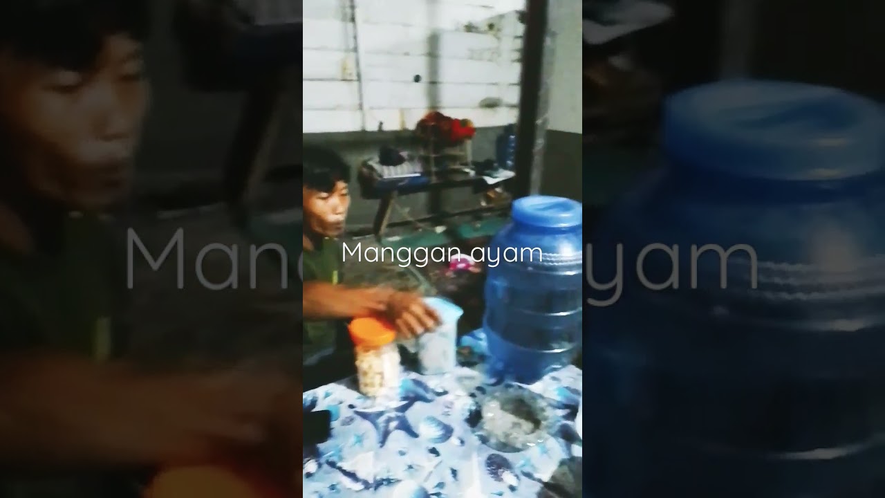 Manggang Ayam Youtube