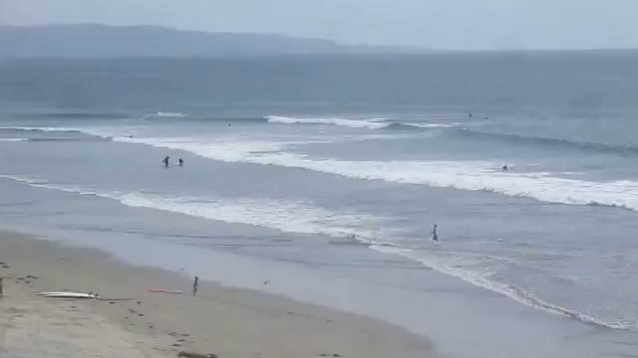 Surf Check Cardiff By The Sea April 21 2015 YouTube Surf Check Cardiff By The Sea April 21 2015 YouTube