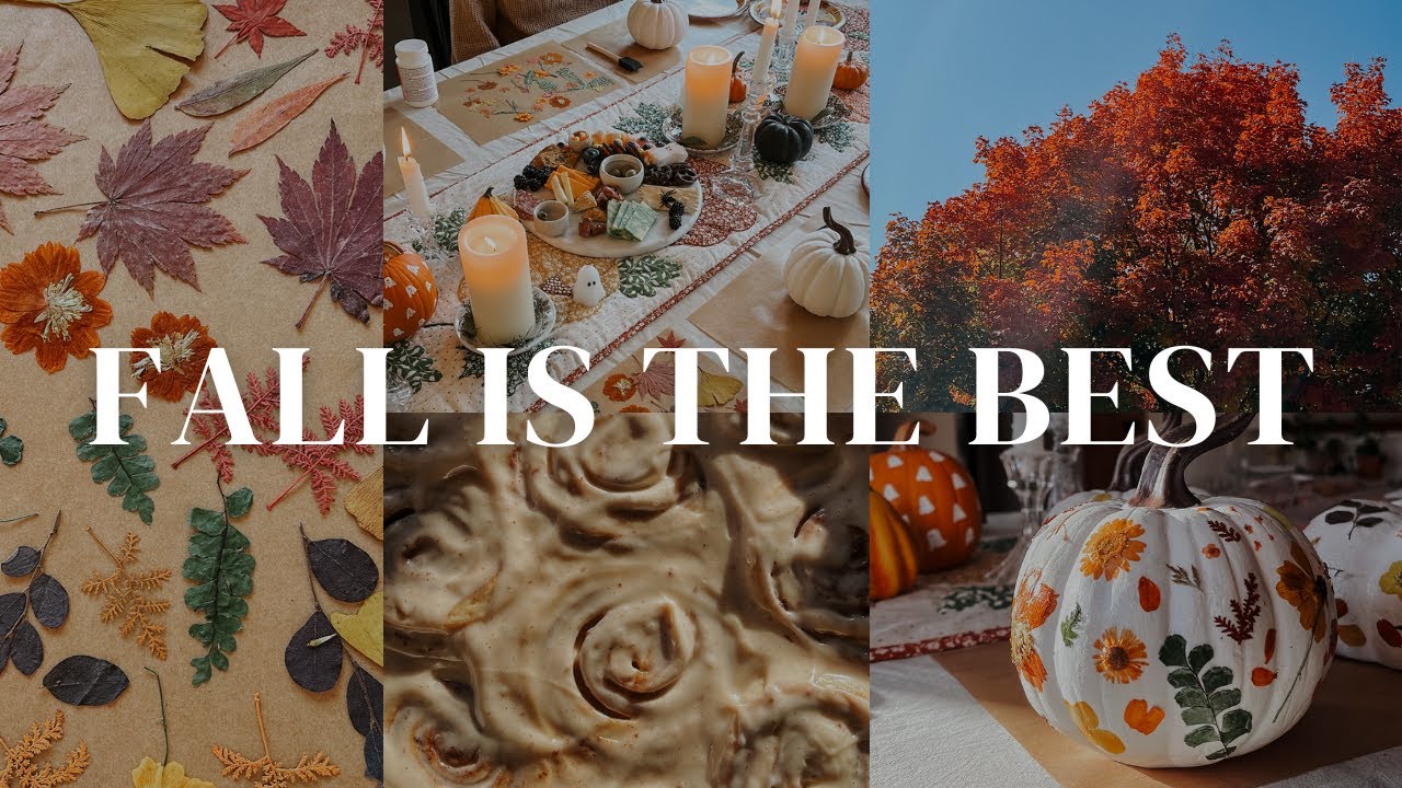 fall crafts, homemade cinnamon rolls, & a cozy work week - YouTube