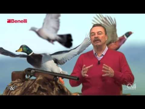 Test a Caccia: Benelli Raffaello Black + B&P Mygra, Long Range, Tungsten, Valle Steel