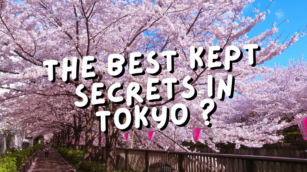 Blossom Secrets: Tokyo's Top Hidden Sakura Spots Revealed! - YouTube