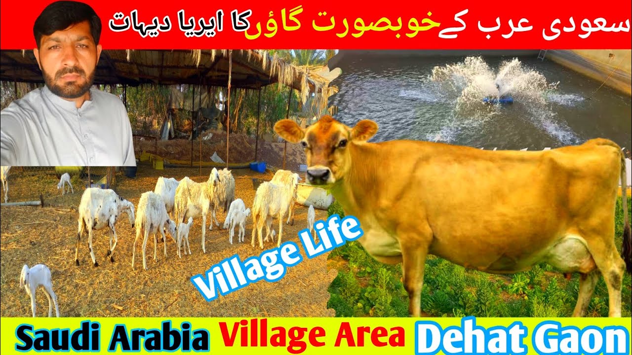 Unseen Rural Life In Saudi Arabia | Saudi Arabia Village Life | Saudi ...