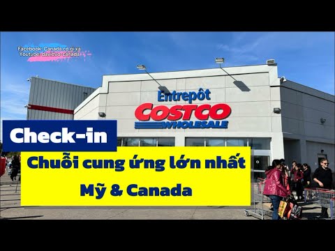 Check-in Costco chuỗi cung ứng hàng tiêu dùng lớn nhất nước Mỹ & Canada ...