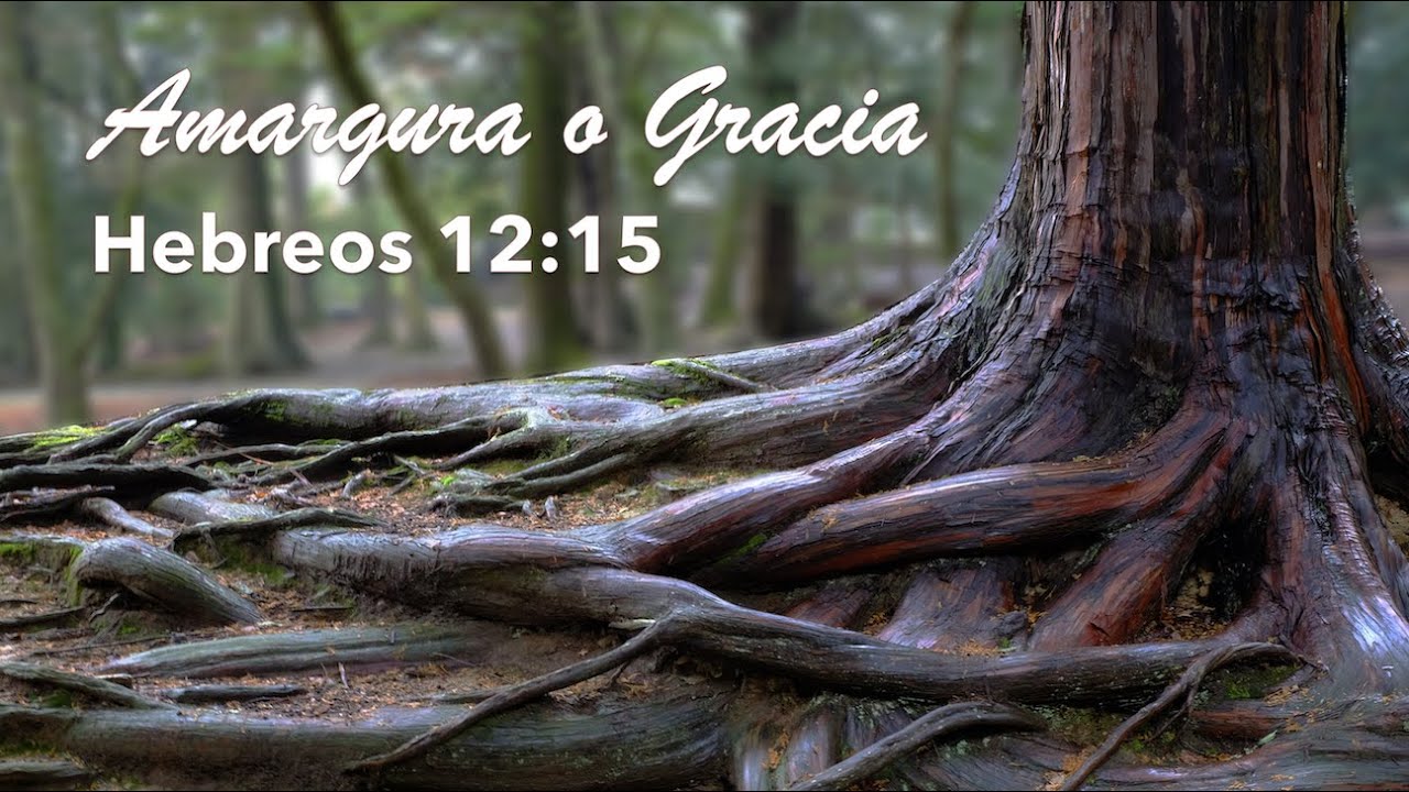 Amargura o Gracia - Hebreos 12:15 - YouTube