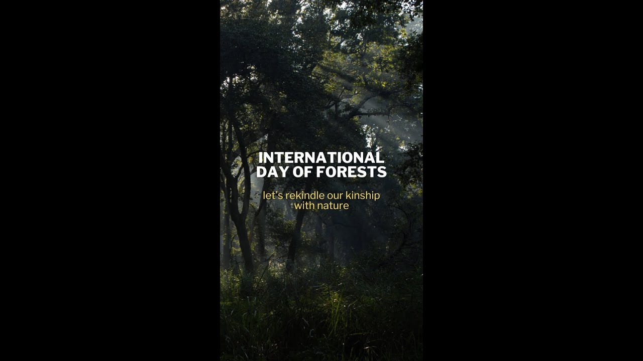 #InternationalDayofForests - YouTube