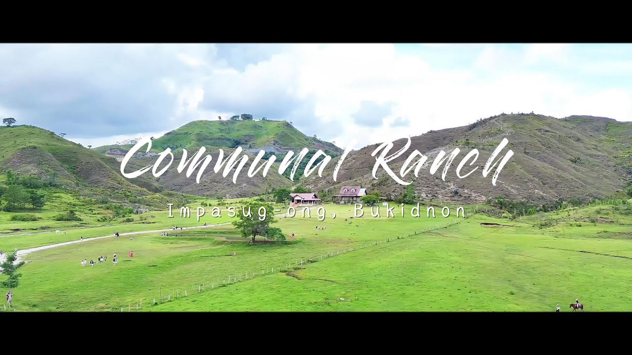 Communal Ranch in Impasug-ong, Bukidnon - YouTube