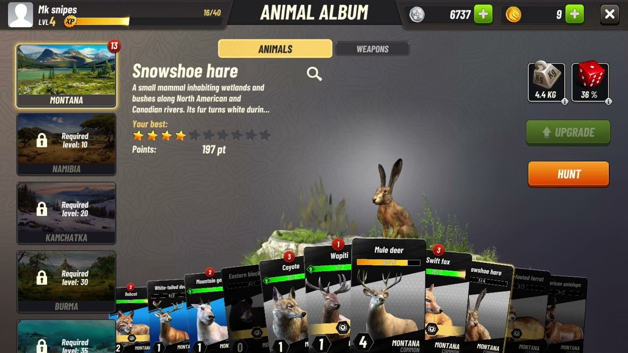 Hunting clash first video - YouTube