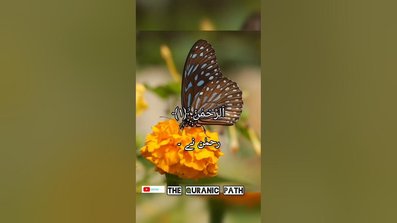 اَلرَّحۡمٰنُ عَلَّمَ الۡقُرۡاٰنَ ؕ﴿۲﴾خَلَقَ الۡاِنۡسَانَ ۙ﴿۳﴾ Youtube