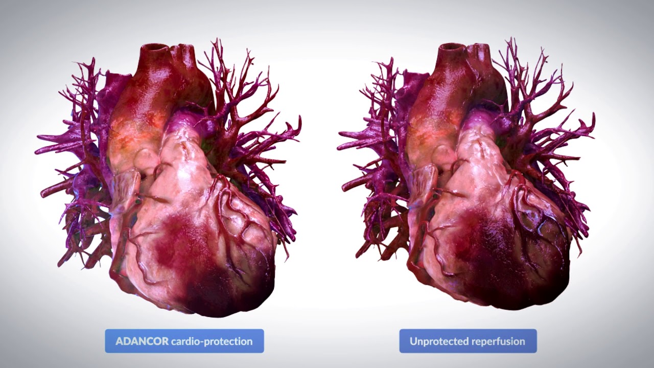 Merck - Adancor™ explainer video - YouTube