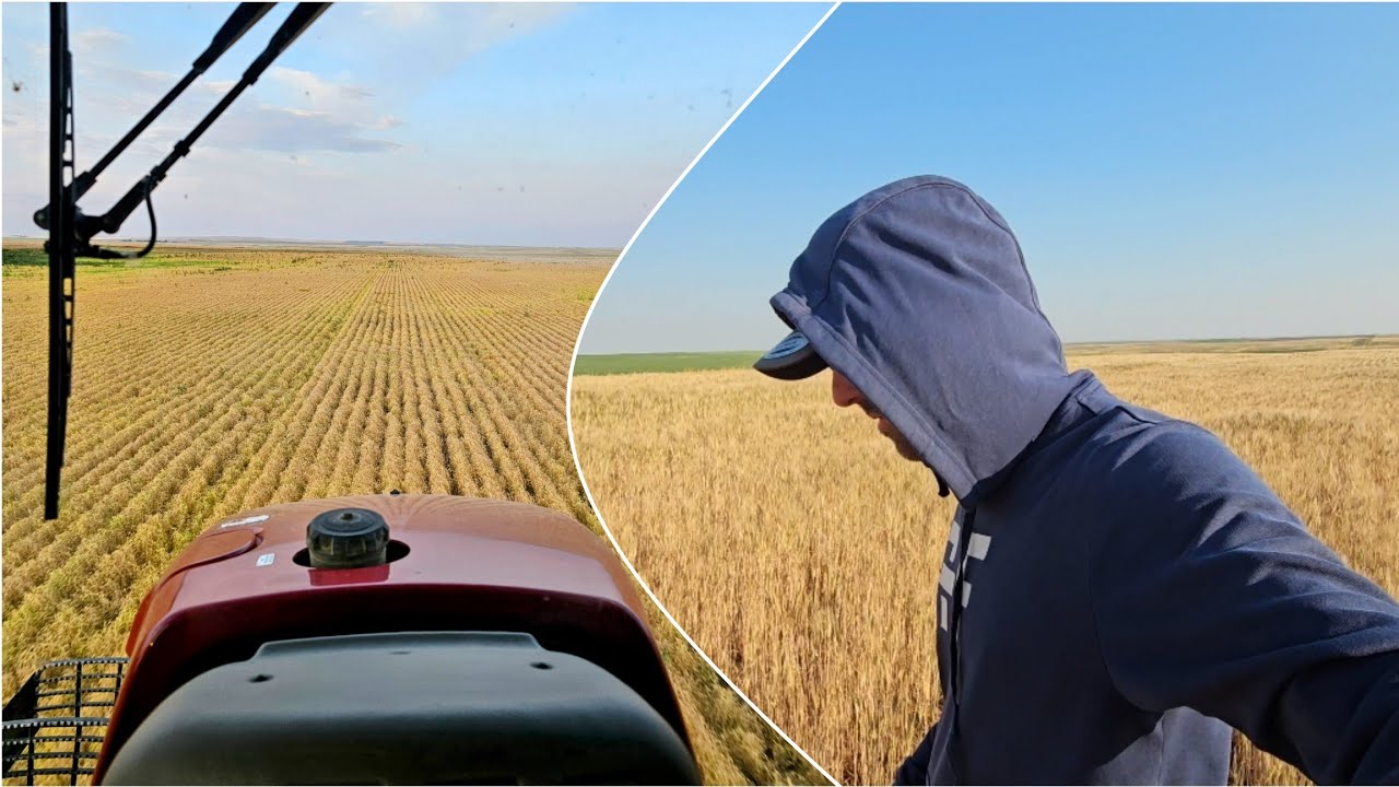 Crop Update & Fast Tracking! | Mike Mitchell | The Content Farm