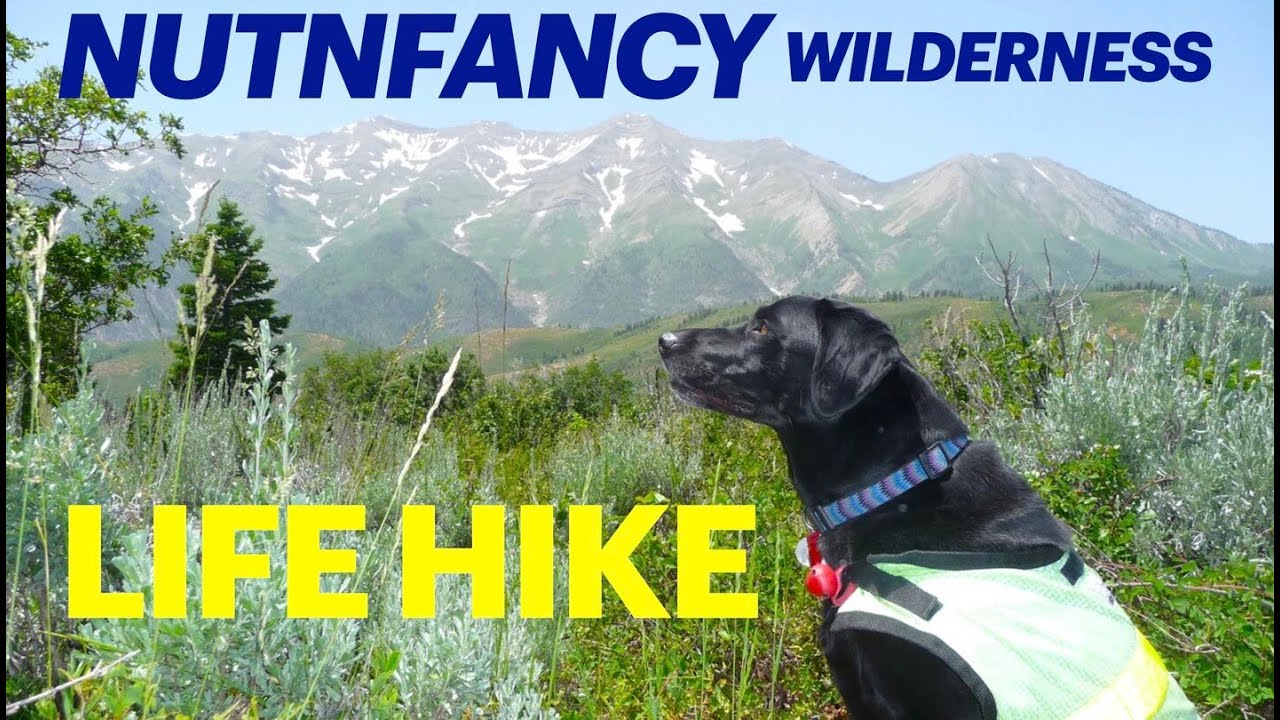 Nutnfancy Wilderness: 'Life Hike' Memories - YouTube