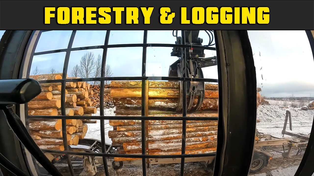 FDR Unloads Pulp Wood From Short Log Trucks - Part 2 - Real Life ...
