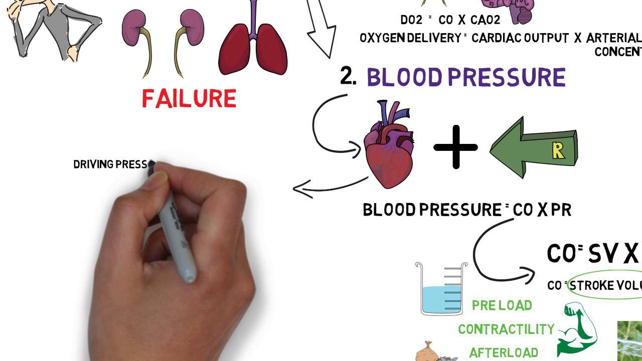 circulatory shock: part 1 - YouTube