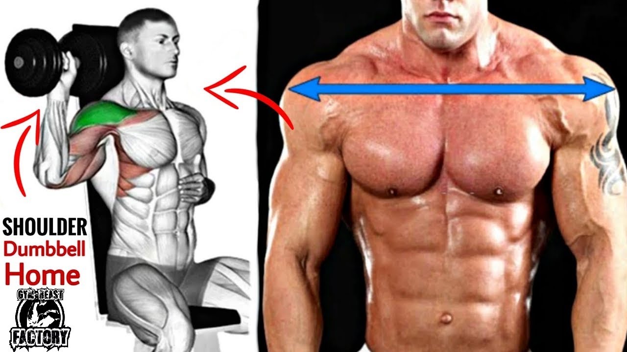 8 Best SHOULDER Exercises AT HOME (DUMBBELLS ONLY) | The PERFECT ...