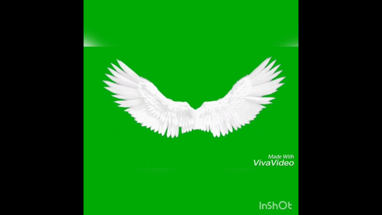 Green screen effect angel wings - YouTube